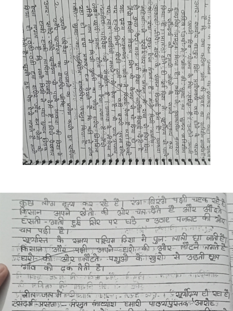 Hindi Notes | PDF