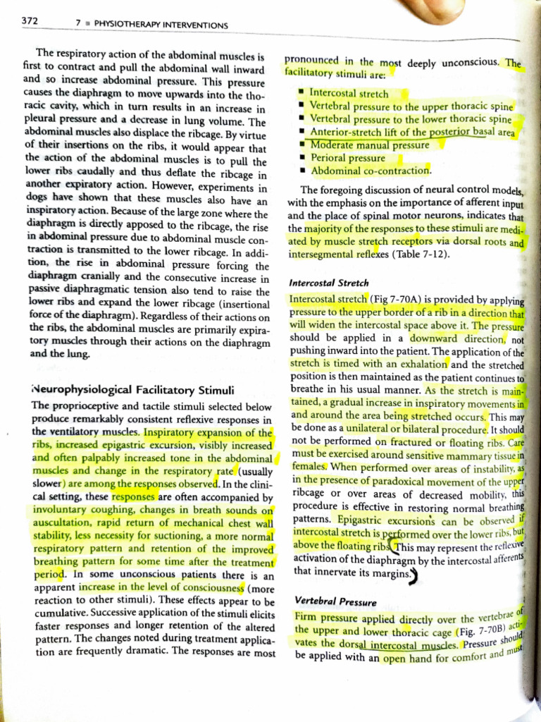 Chest PNF 1 | PDF | Breathing | Respiratory System