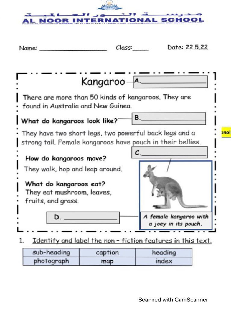 Kangaroos report | PDF