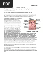 n82 - Procedure For Aural Toilet | PDF | Nursing | Patient