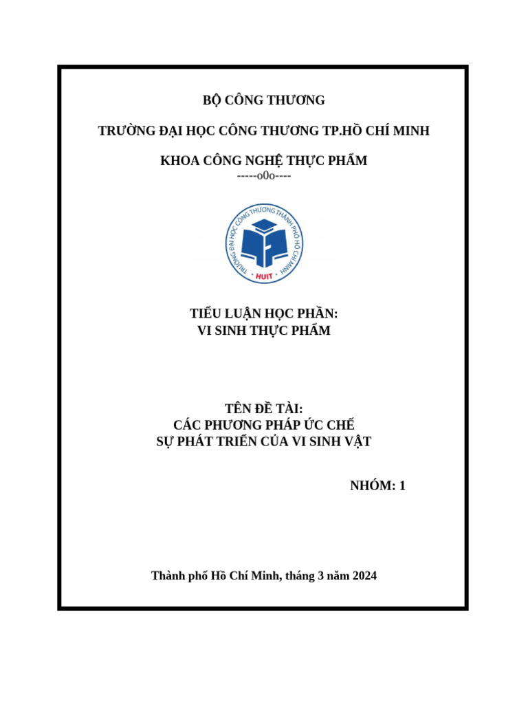Tieuluanvstp Nhóm1 | PDF