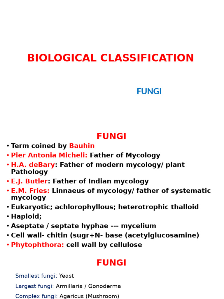 Biolg Classification - Fungi | PDF