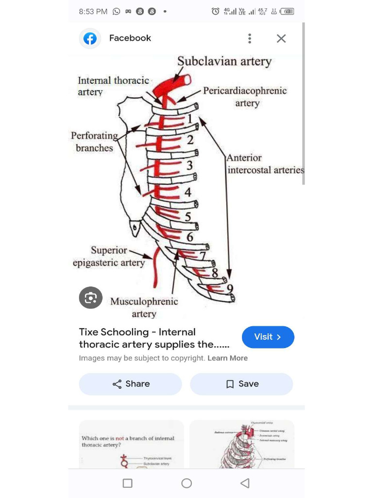 Lera's Thorax Logbook Diagram | PDF