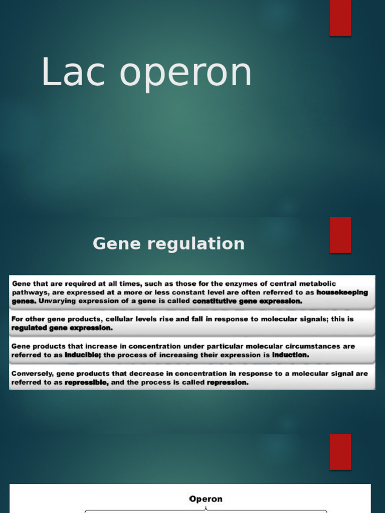 Lac Operon | PDF