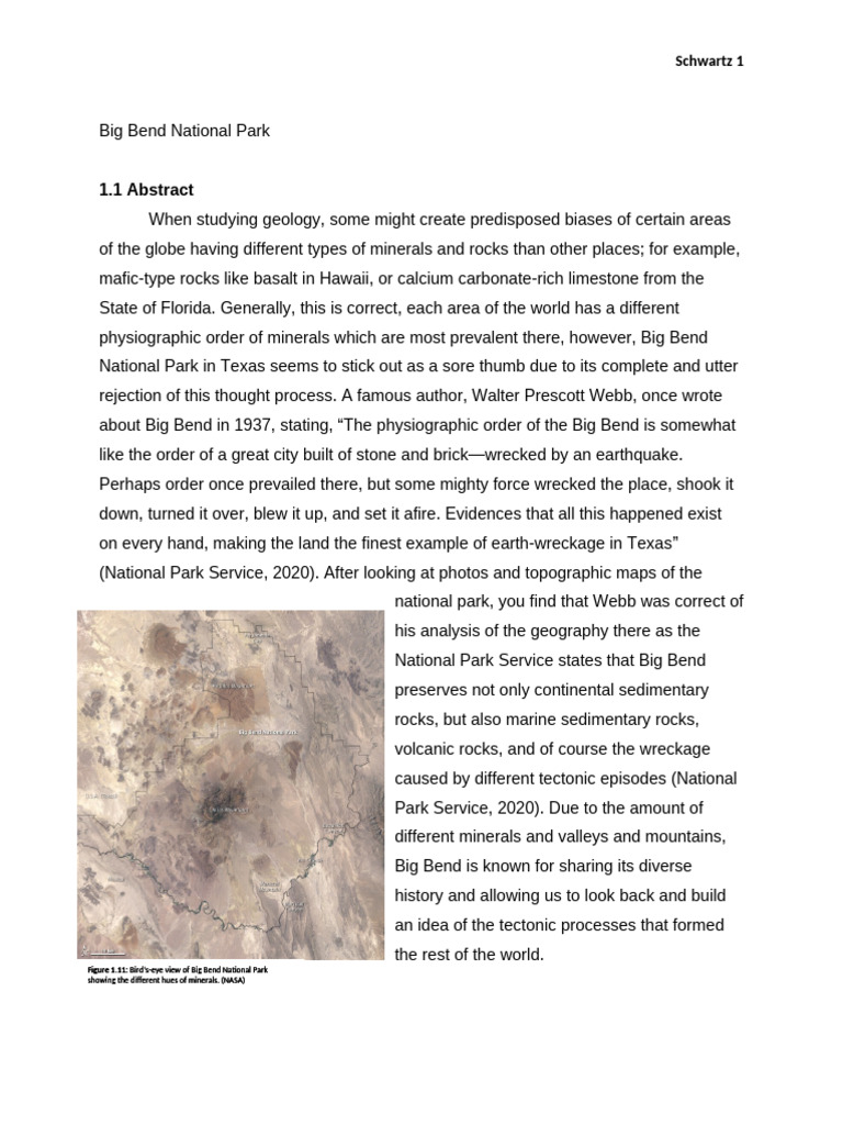 Capstone Initial Draft | PDF