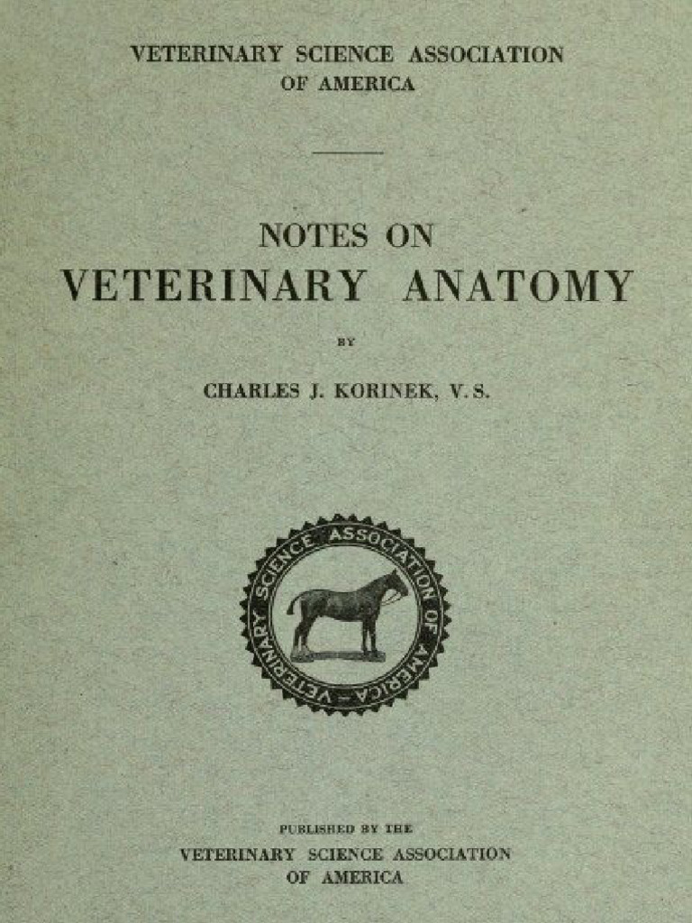 Notes On Veterinary Anatomy | PDF | Vertebral Column | Science ...