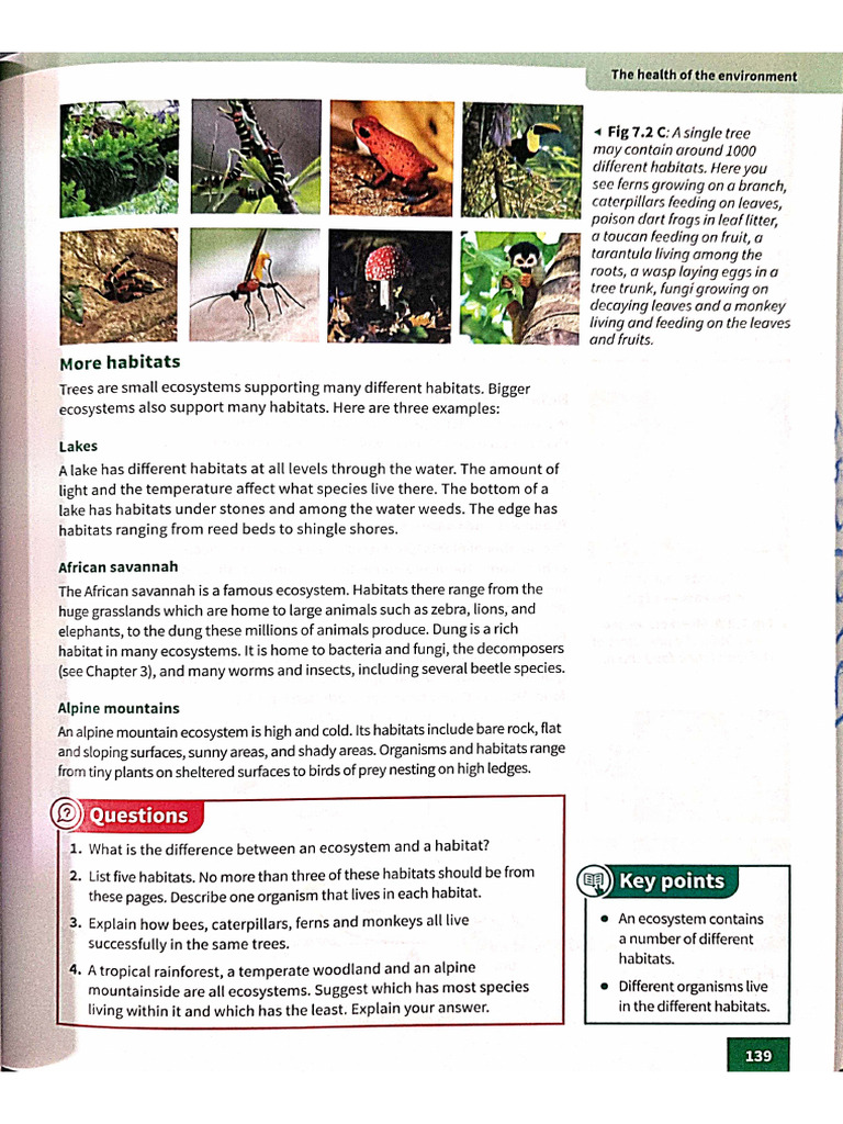 Bio Chap 7 Health of The Environment | PDF
