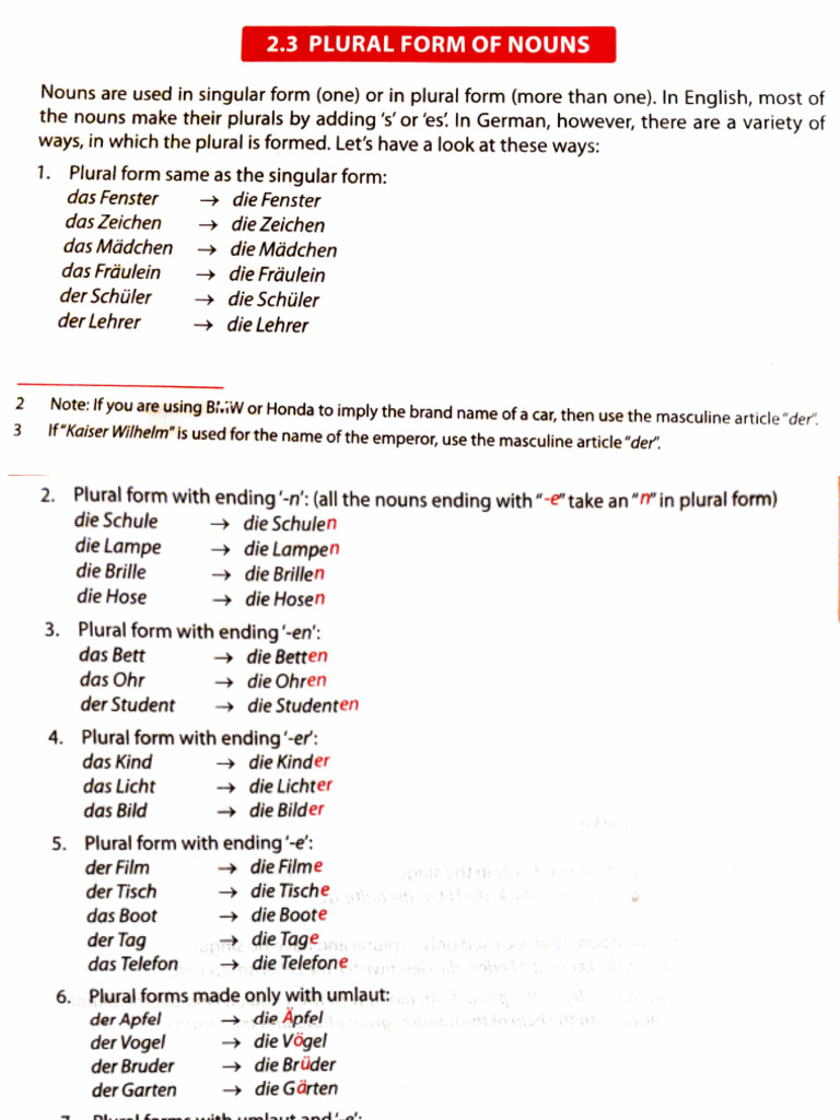 Plural Forms | PDF