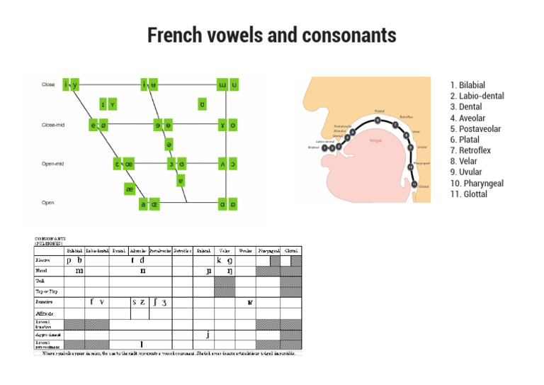 Vowel and consonant | PDF