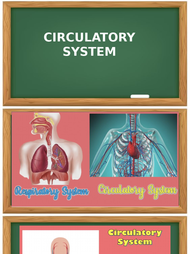 G9-SCIENCE-CIRCULATORY-SYSTEM | PDF