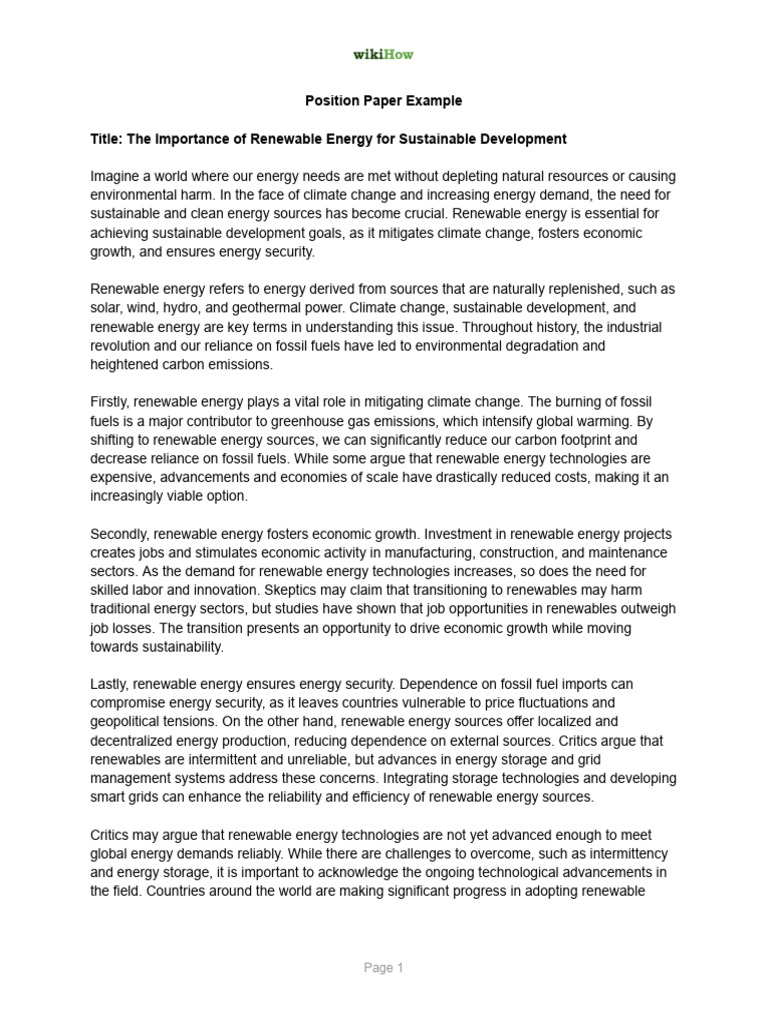 Position-Paper-Example | PDF