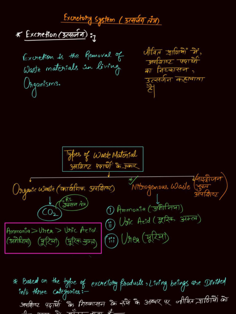 Lecture-37 __ Excretory System (Part-01)_8303307936 | PDF