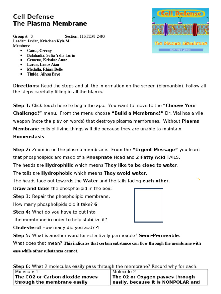 CELL DEFENSE WORKSHEET - BIOMANBIO, Group - 3, 11STEM - 2403 | PDF