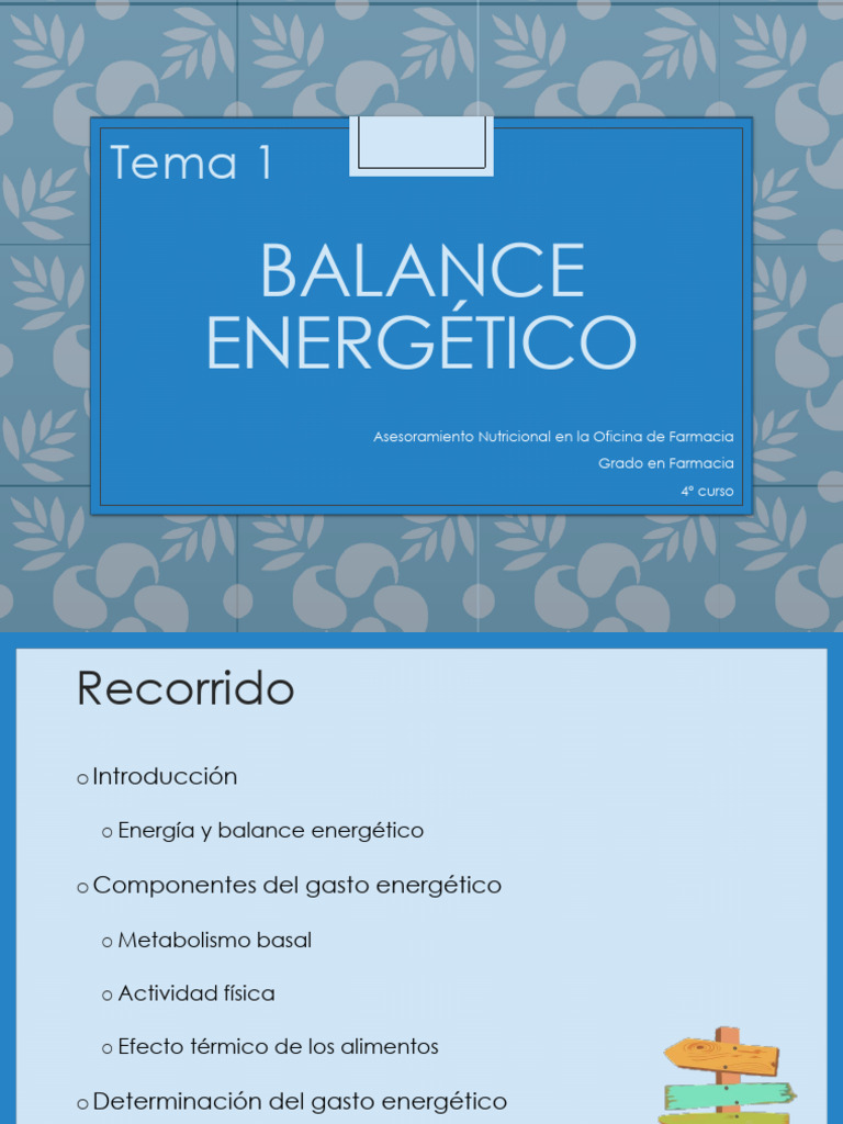 Balance Energético (AN) | PDF