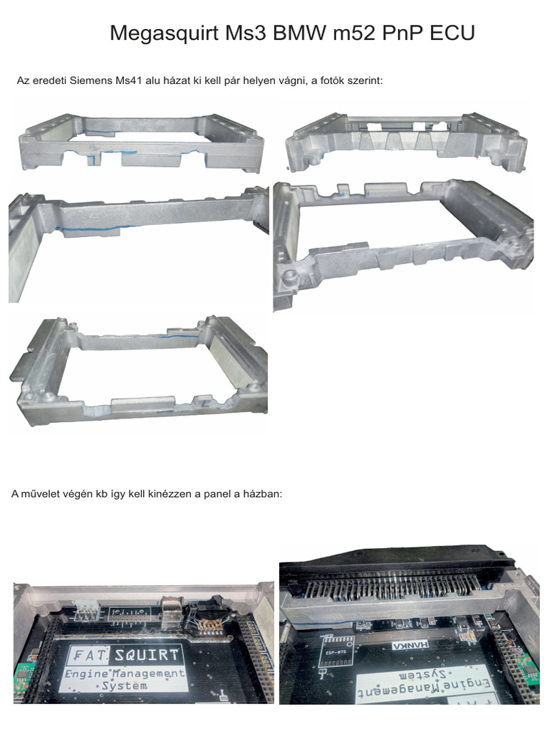 FFG BMW m52 PNP | PDF