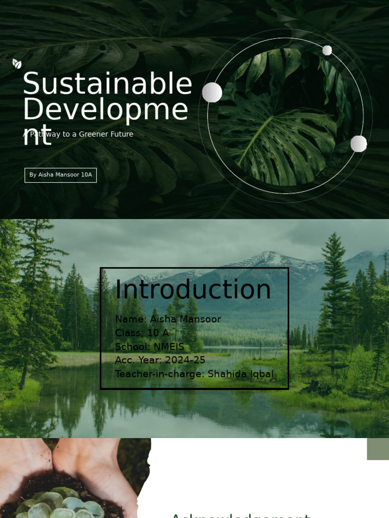 Sustainable Development | PDF