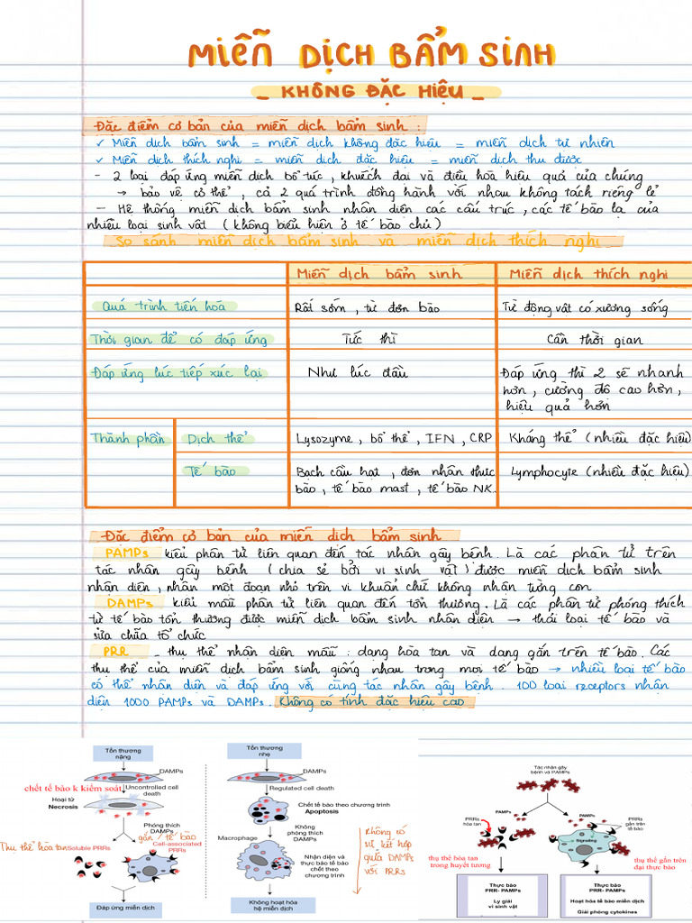 Miễn dịch bẩm sinh | PDF