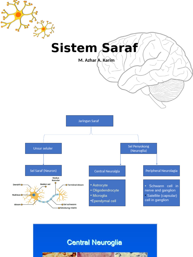 Sistem Saraf | PDF
