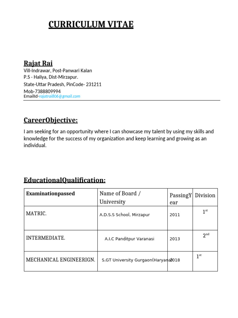 Rajat Rai CV | PDF