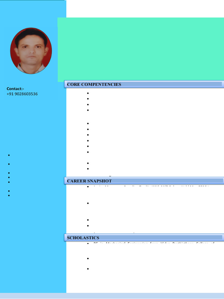 CV Ameen-1 | PDF
