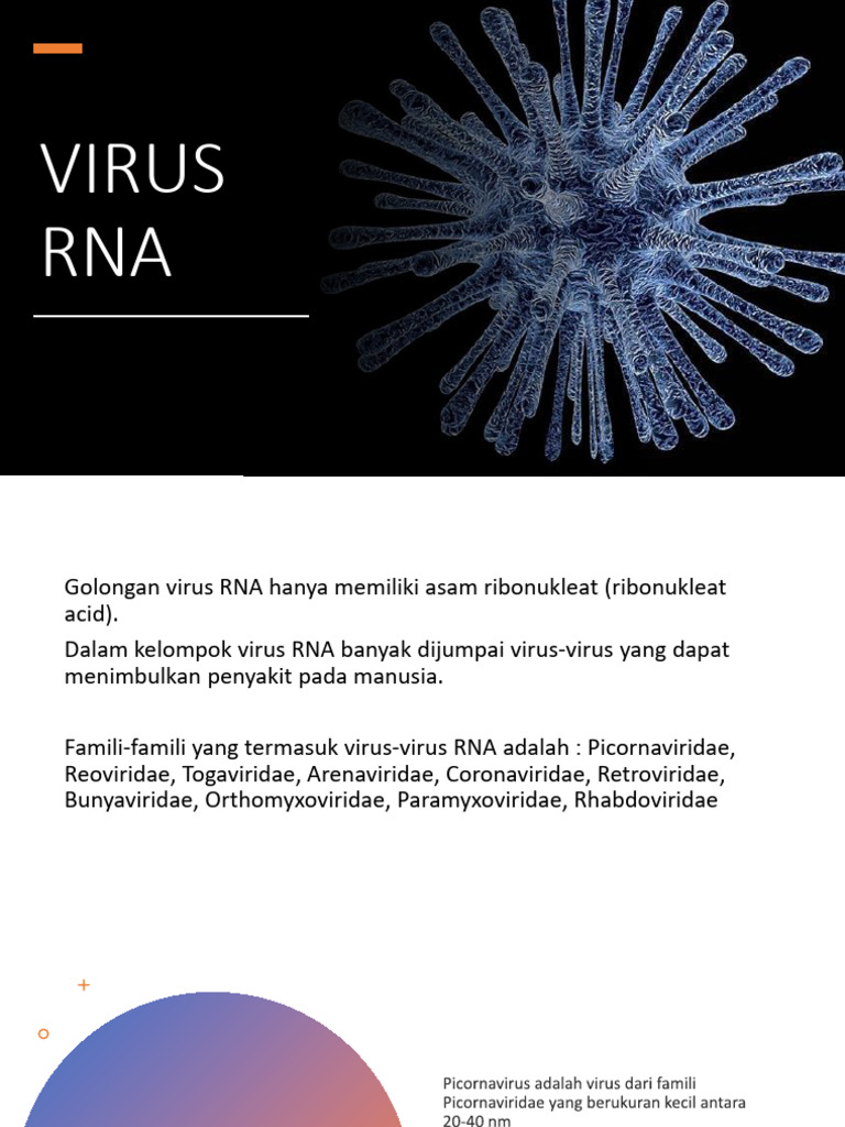 VIRUS RNA | PDF