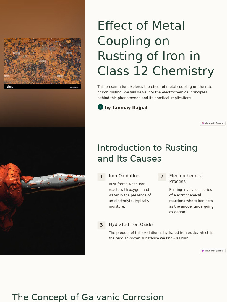 Effect of Metal Coupling On Rusting of Iron in Class 12 Chemistry | PDF