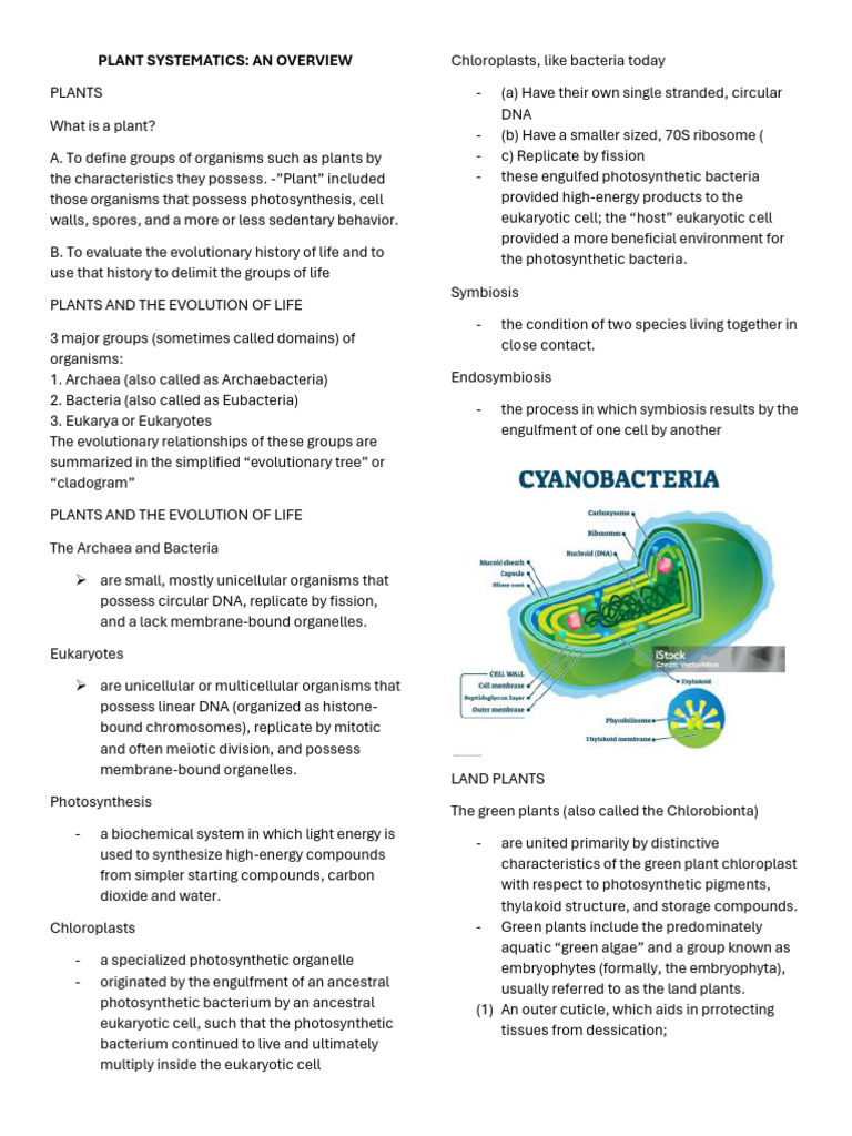 Plant Systematics | PDF