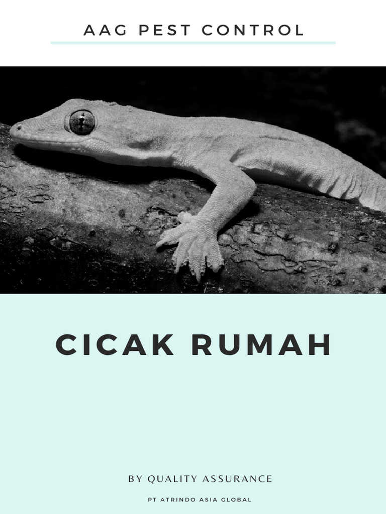 Artikel Cica Kaa G | PDF