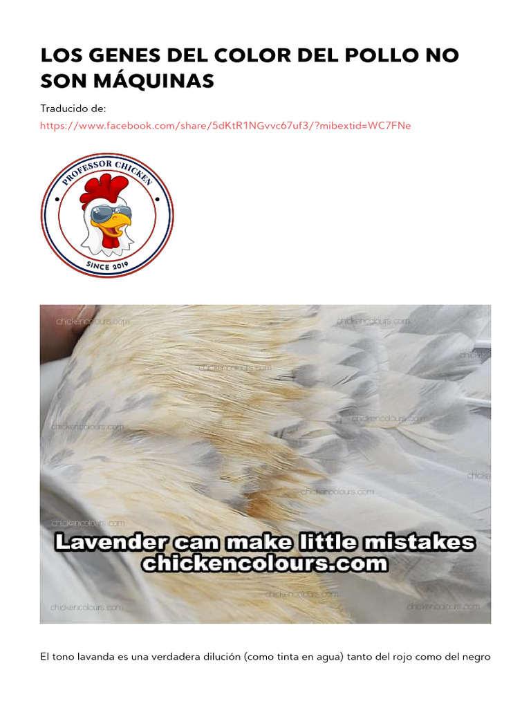 Los Genes Del Color Del Pollo No Son Máquinas | PDF