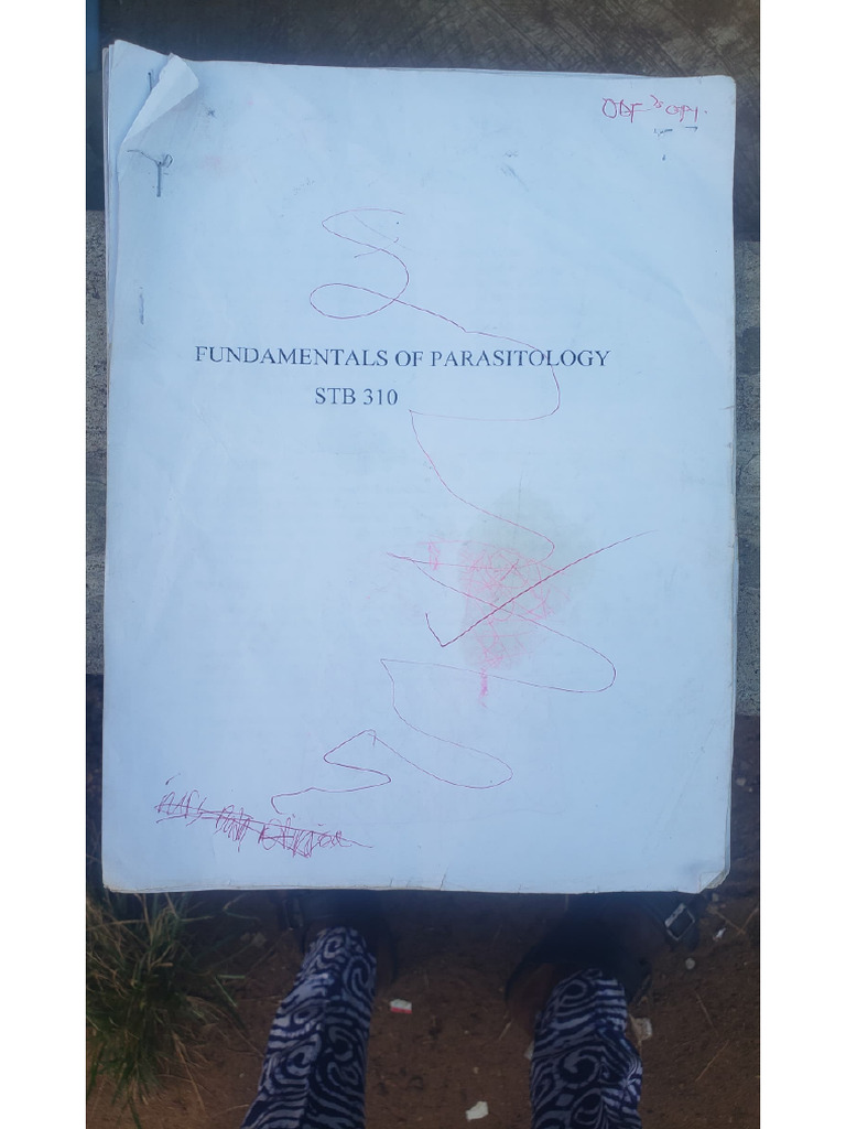 Stb 310 Material | PDF