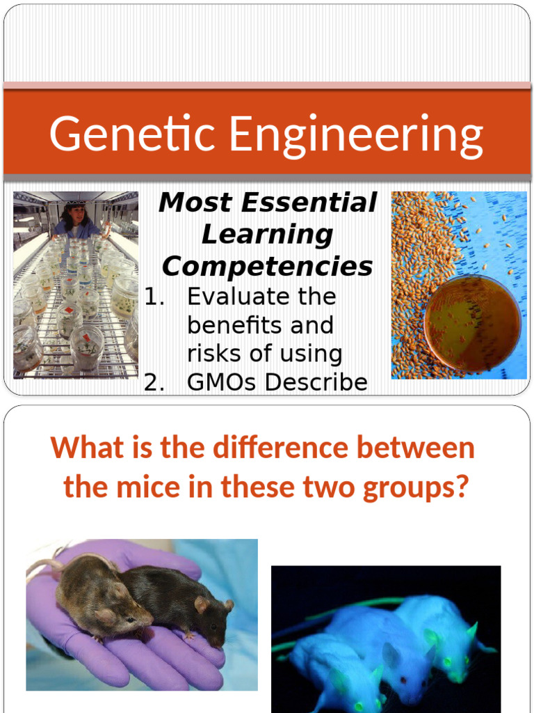 Genetic Engineering | PDF
