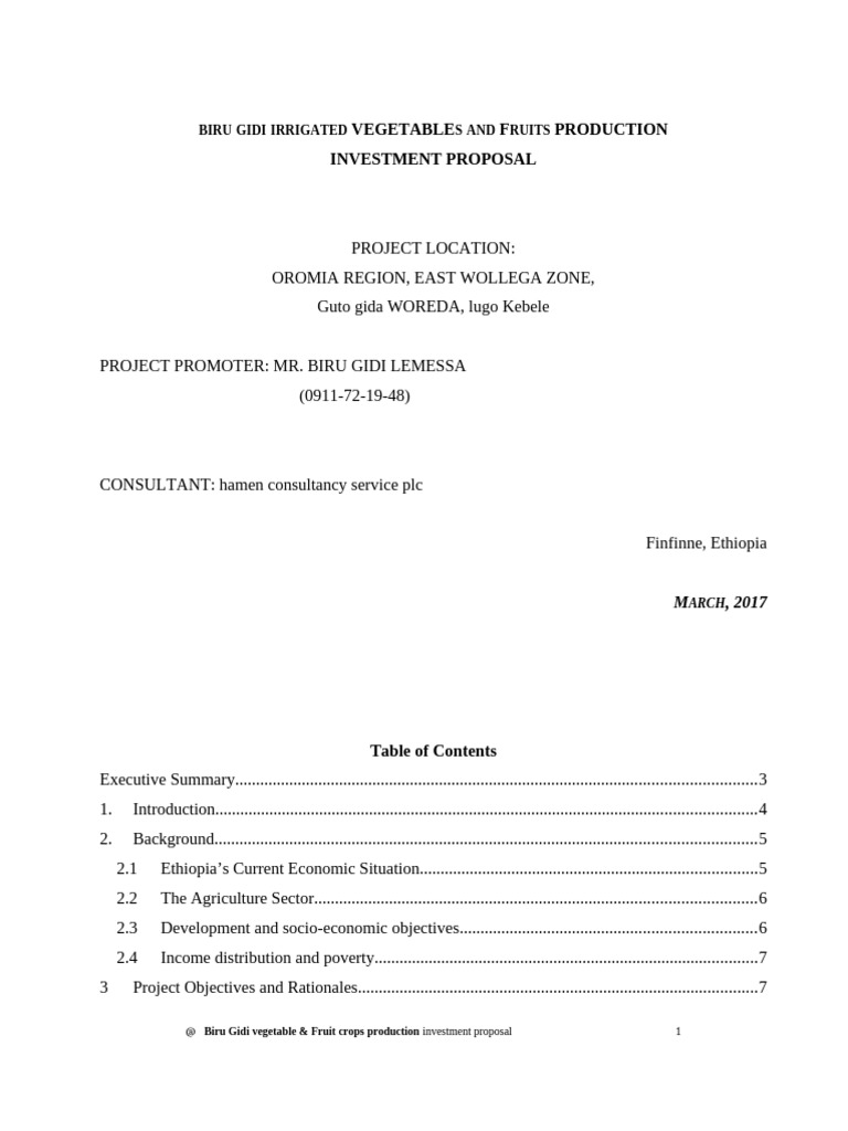 Biru Gidi Irrigated Crop Investment Plan | PDF | Agriculture | Smallholding