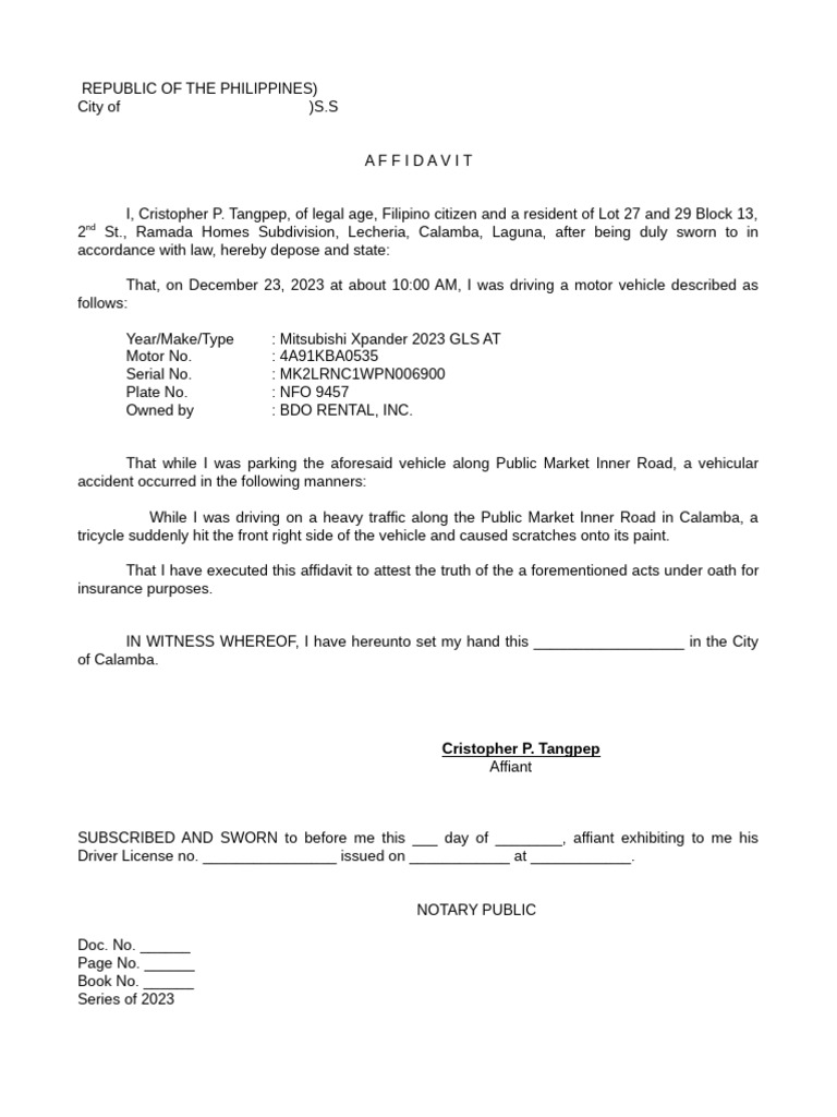 Sample Affidavit - Blank | PDF