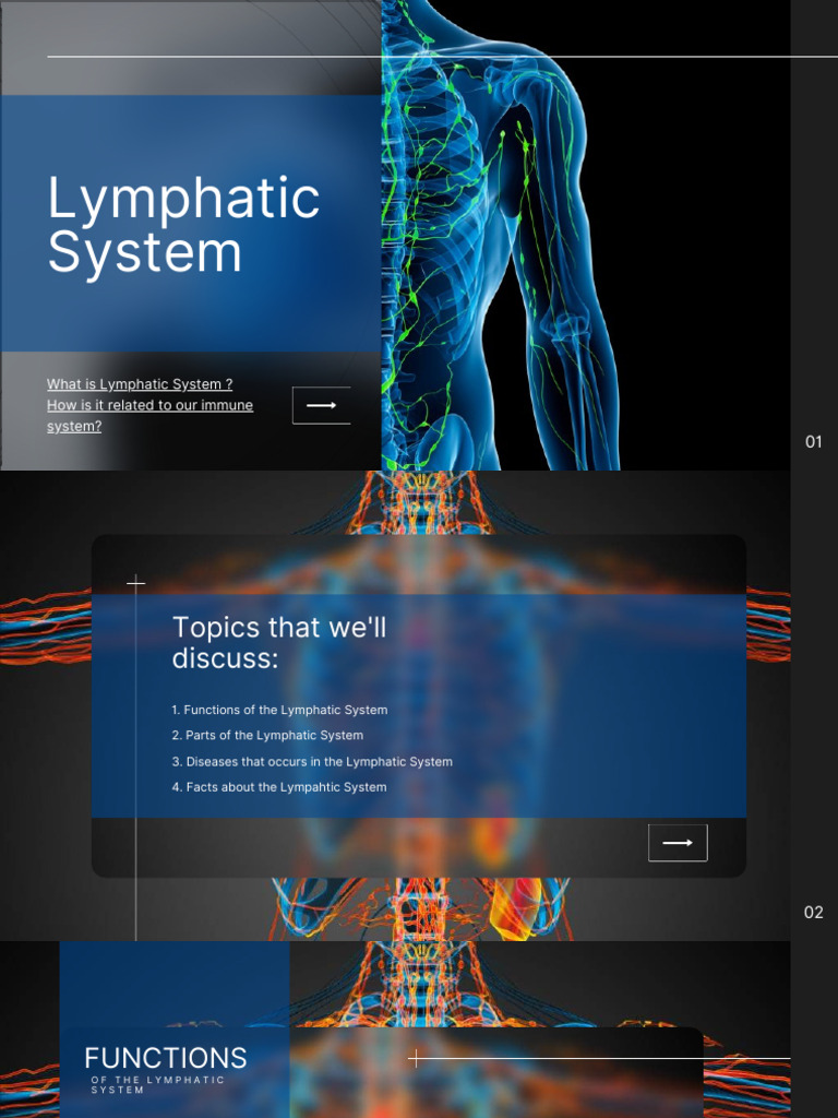 Lymphatic System | PDF