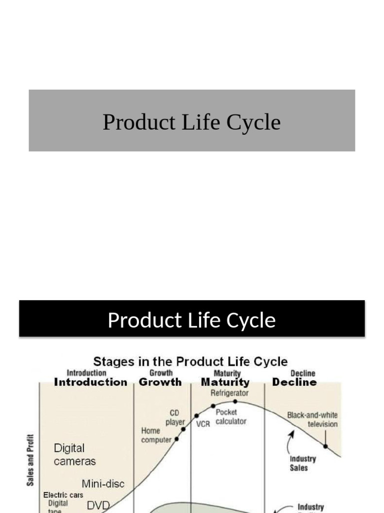 Day 2 Project Life Cycle | PDF