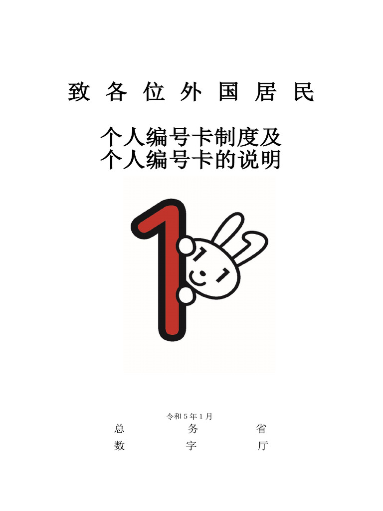 Pamphlet For Foreigners ZHCN | PDF