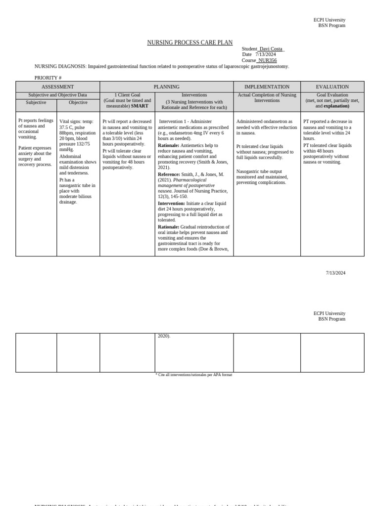 BSN Care Plan 3 | PDF