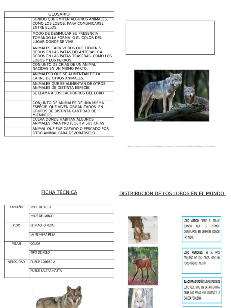 Folleto de Lobos | PDF