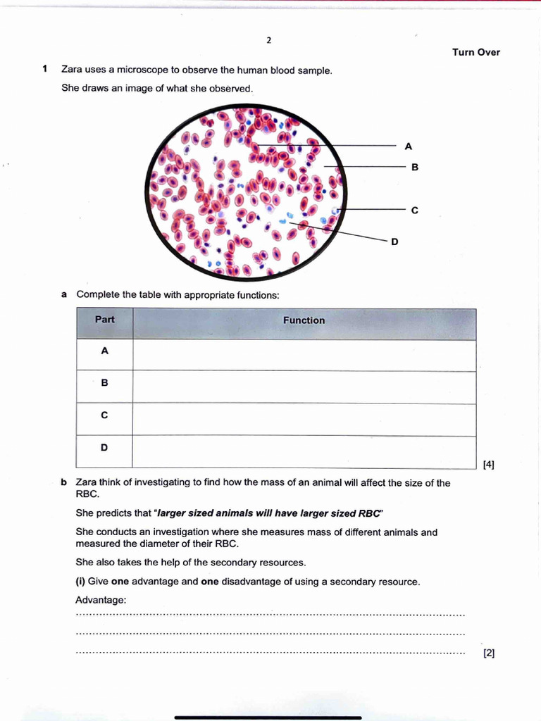 Sample Paper Science | PDF
