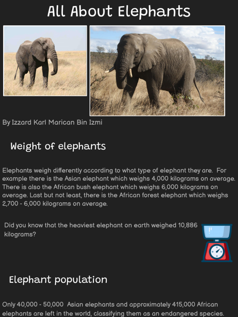All About Elephants | PDF