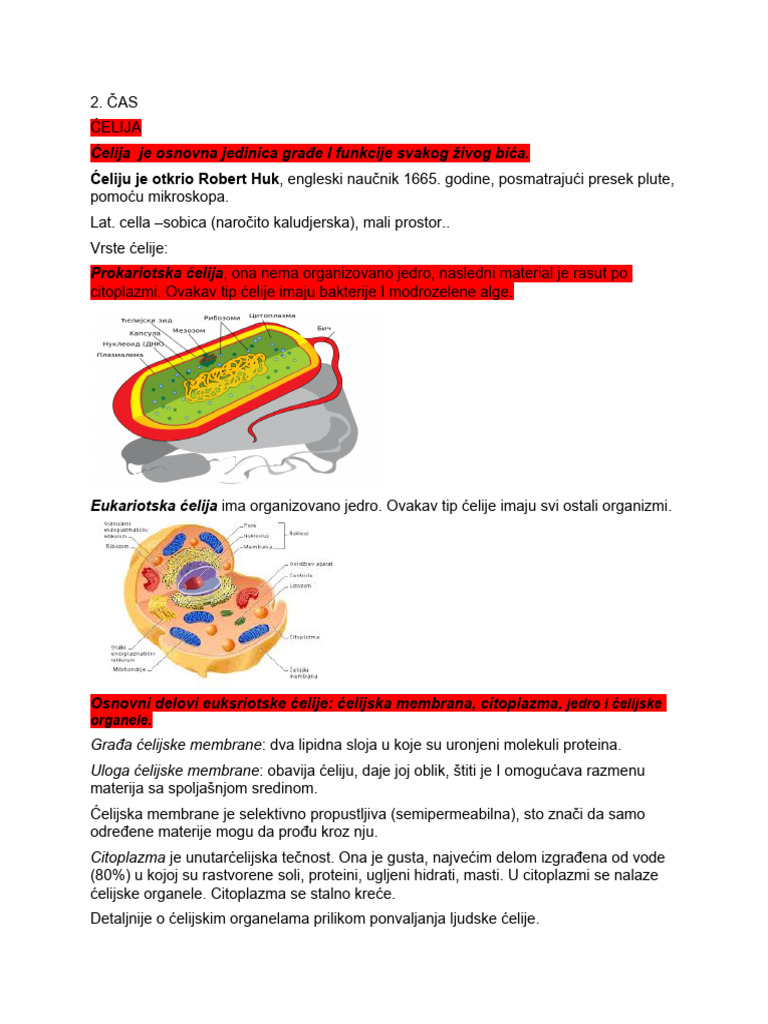 PDF Document | PDF