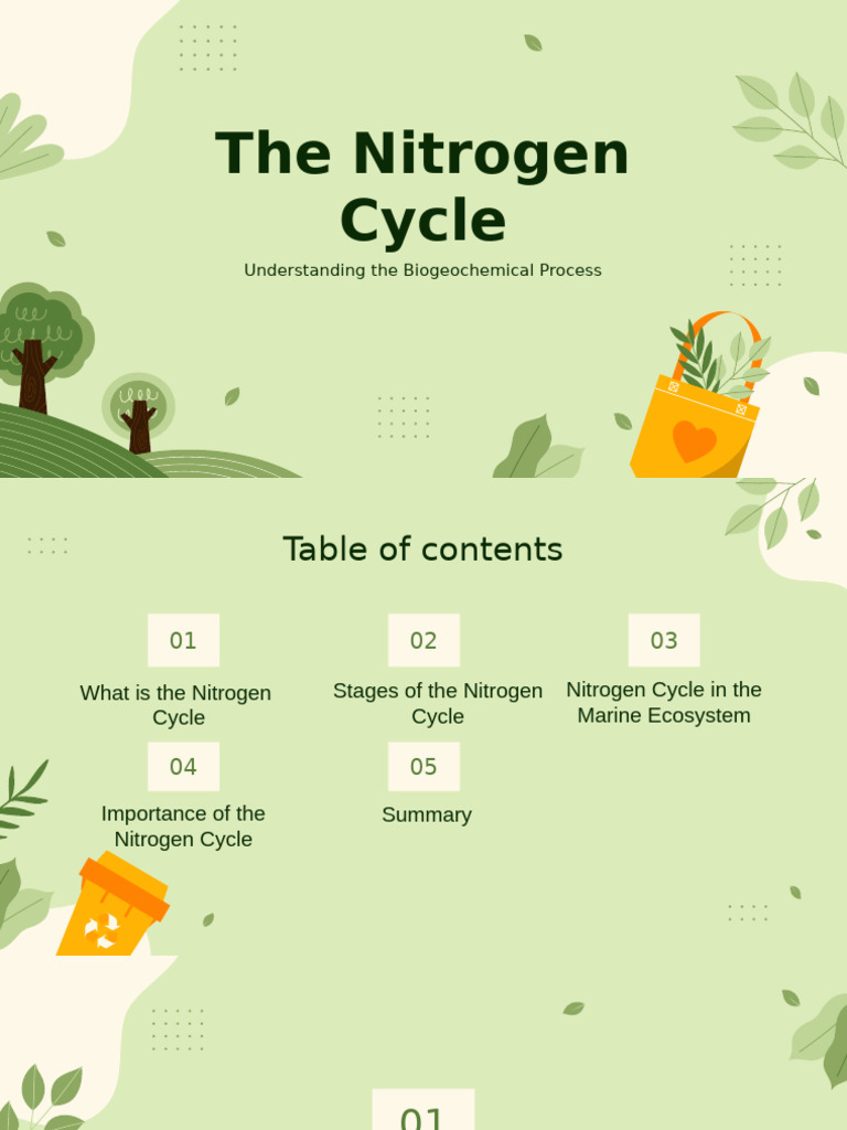 Nitrogen Cycle | PDF