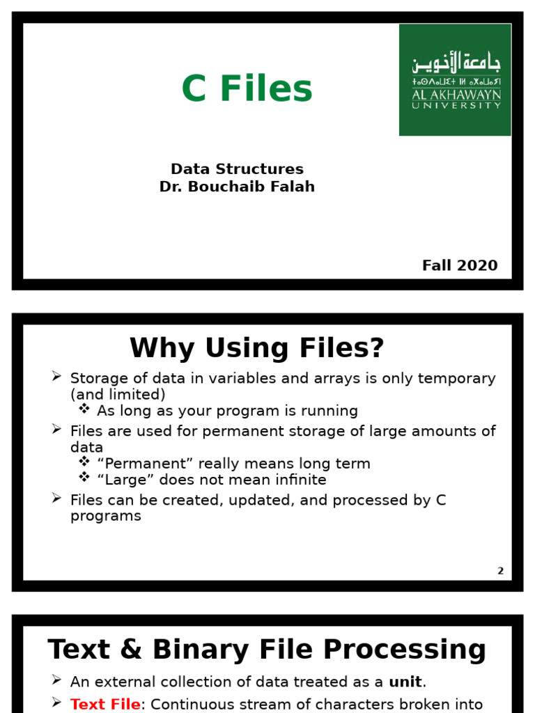 Chap 2 - C Files | PDF