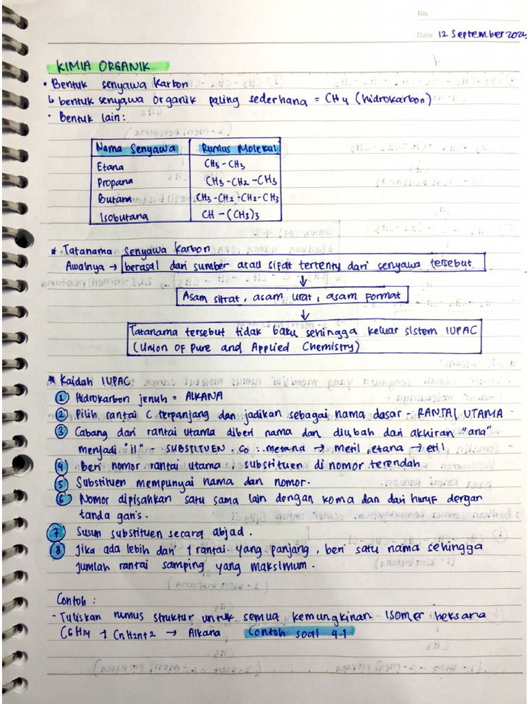 Kimia Organik Isidora Paskalia | PDF