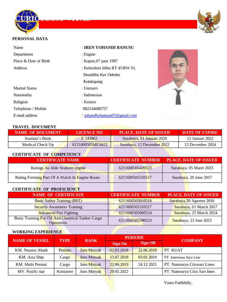 CV Iren Engine | PDF