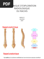 Interprétation RX Rachis Cervical | PDF | Vertèbre | Colonne vertébrale