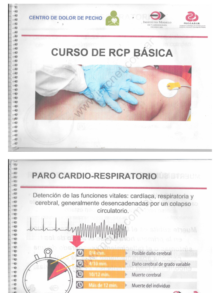 Libro RCP | PDF