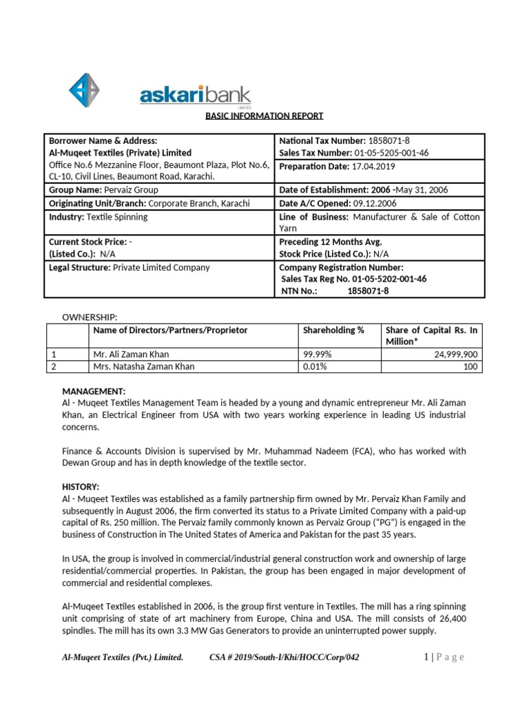 Borrower Information Report | PDF