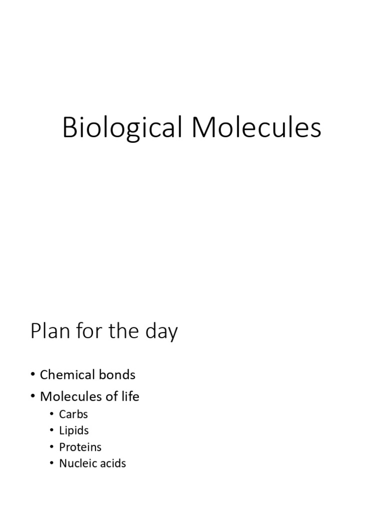 1 Biological Molecules | PDF