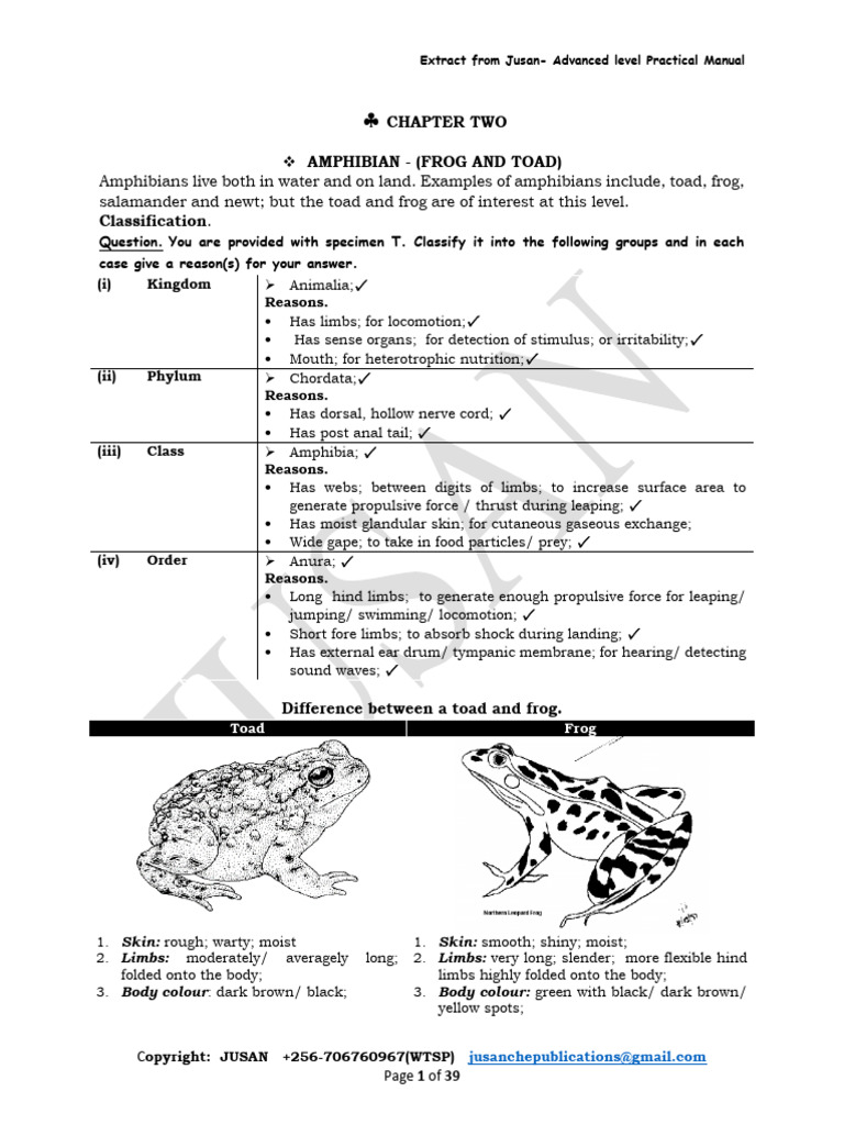 Toad Dissection-Jusan Extract | PDF | Small Intestine | Frog